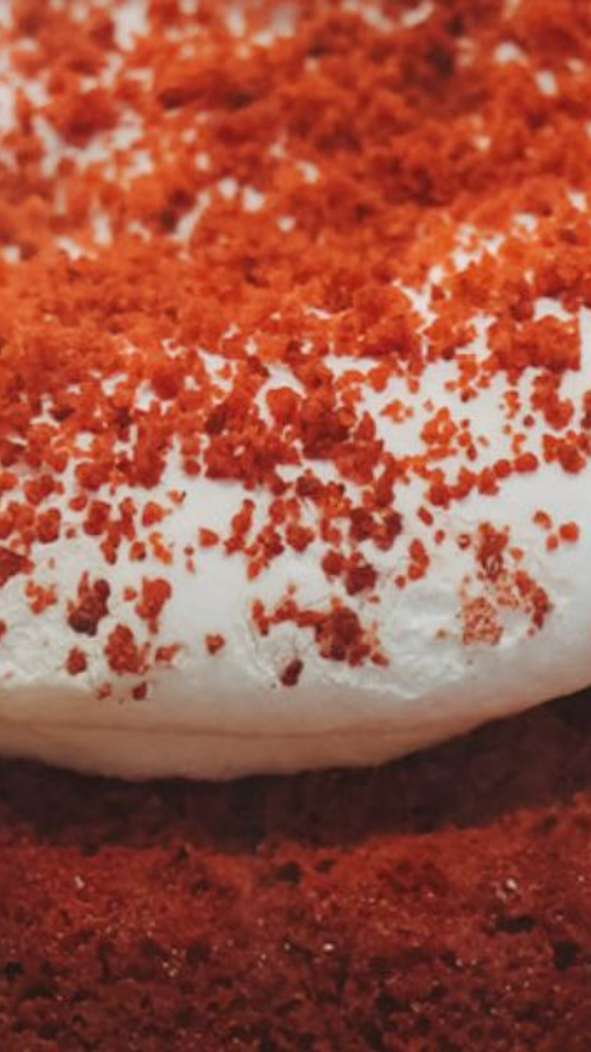 SIGEP WORLD | Discover the exhibition